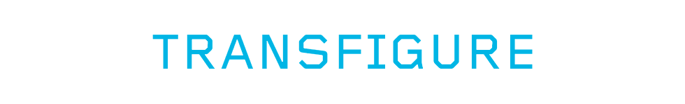 GitHub - transfigure-game/transfigure-game.github.io: https ...